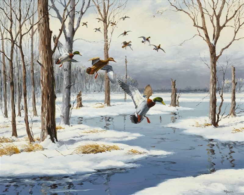 David Maass | Mallards in Snow | MutualArt