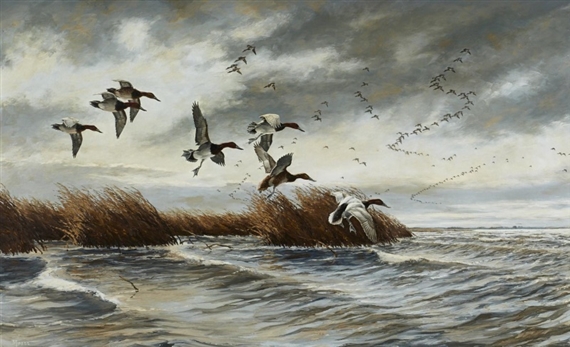 David Maass | Canvasbacks | MutualArt
