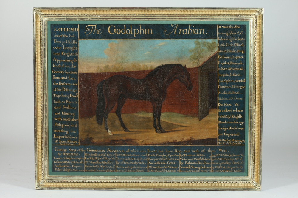 David Morier | THE GODOLPHIN ARABIAN | MutualArt