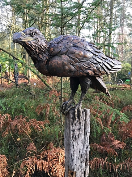 David Cooke | GOLDEN EAGLE | MutualArt
