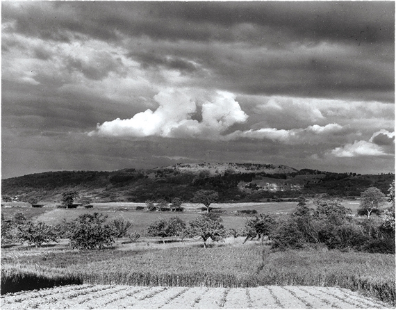 Paul Strand | Landscape Near Sea in Montélimar (Circa 1950) | MutualArt