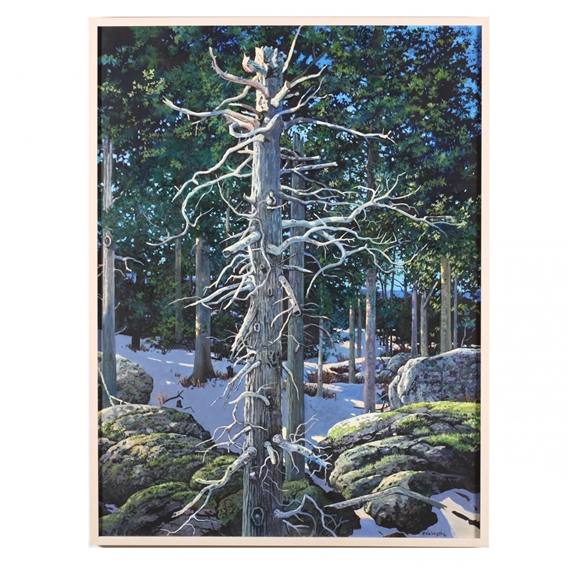 Danny Robinette | Last Snow Raven Rocks | MutualArt