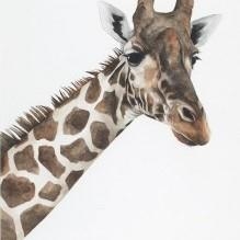 Dominique Salm | 8 Artworks at Auction | MutualArt