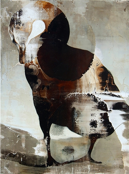 James Griffith | Biography