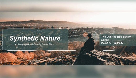 Danny Flack | Artist Overview | MutualArt