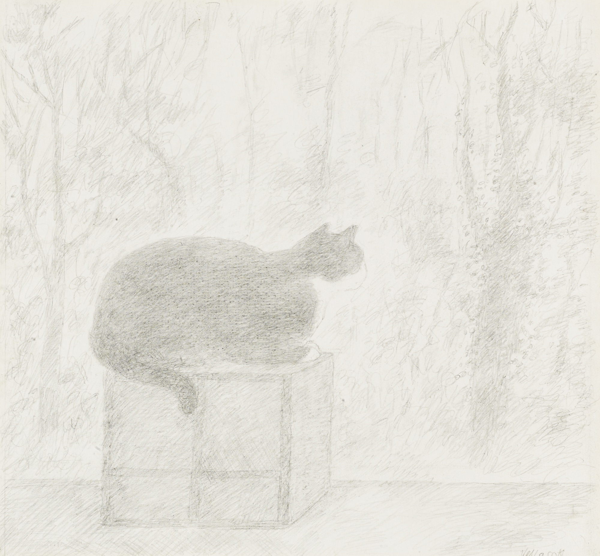Elisabeth Vellacott | CAT LOOKING OUT (1993) | MutualArt
