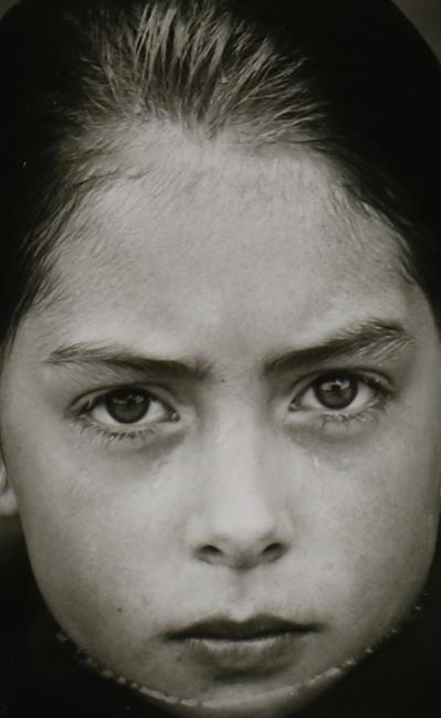 Sturges Jock | Minna Northern California (1978) | Compare similar ...