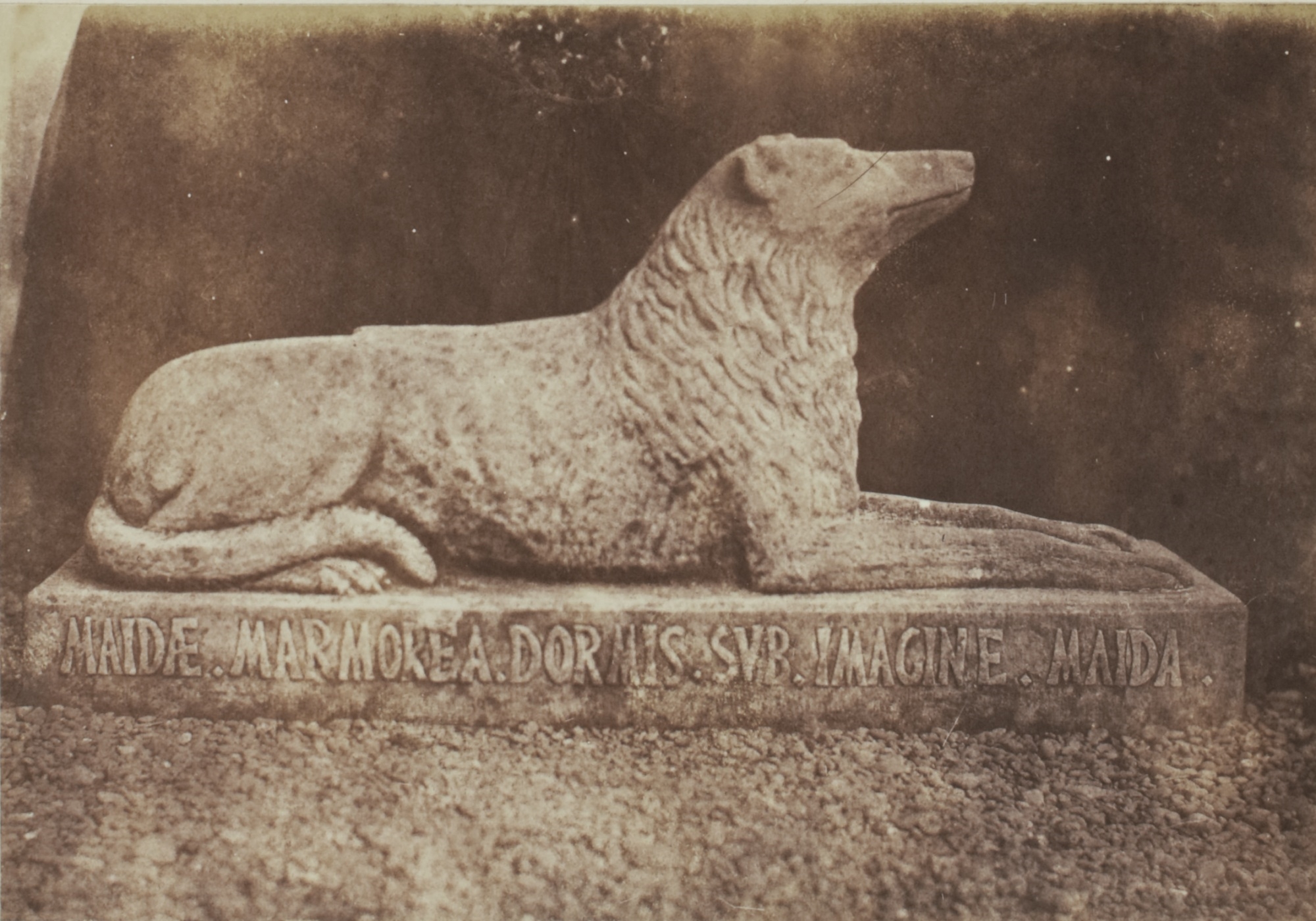 William Henry Fox Talbot | 23 WORKS: SUN PICTURES IN SCOTLAND (1844 ...