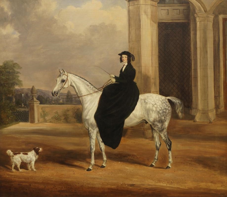 Byron Webb | An elegant lady on a dapple grey horse with a spaniel on ...