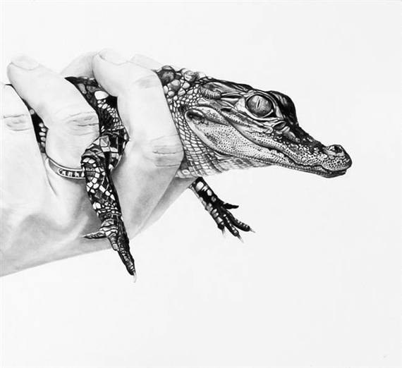 Virginia Fifield | Artist Overview | MutualArt