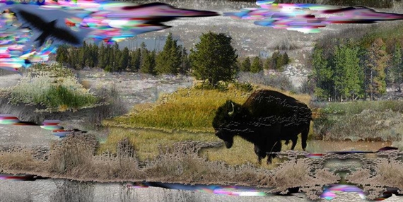 Nancy and David Bechtol | Artist Overview | MutualArt