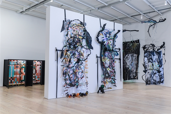 10 Artists to Discover at the 2017 Whitney Biennial