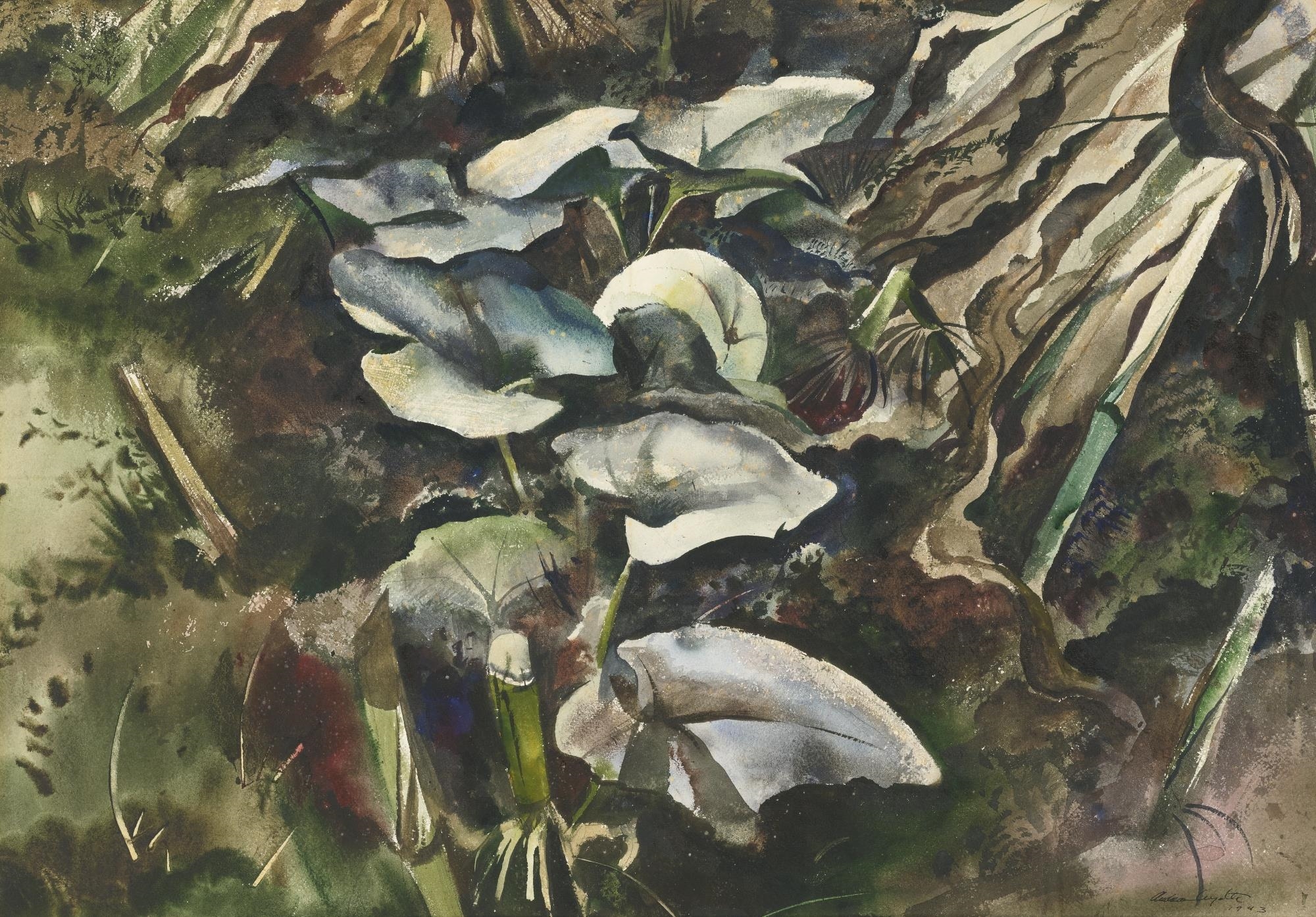 Andrew Wyeth | PUMPKIN VINE (1943) | MutualArt