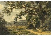 José Weiss | Southwoods | MutualArt