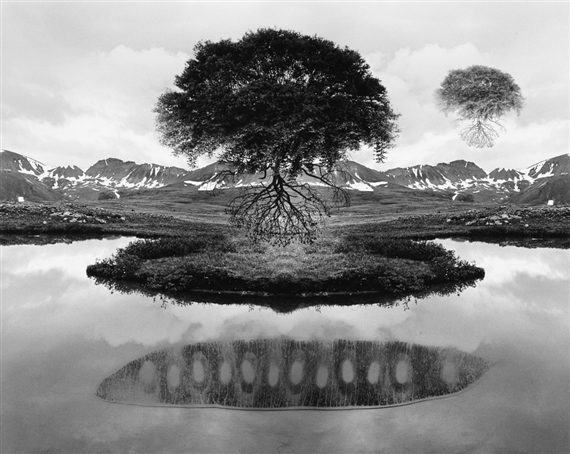 Jerry Uelsmann | Untitled (floating trees and pea pod) | MutualArt
