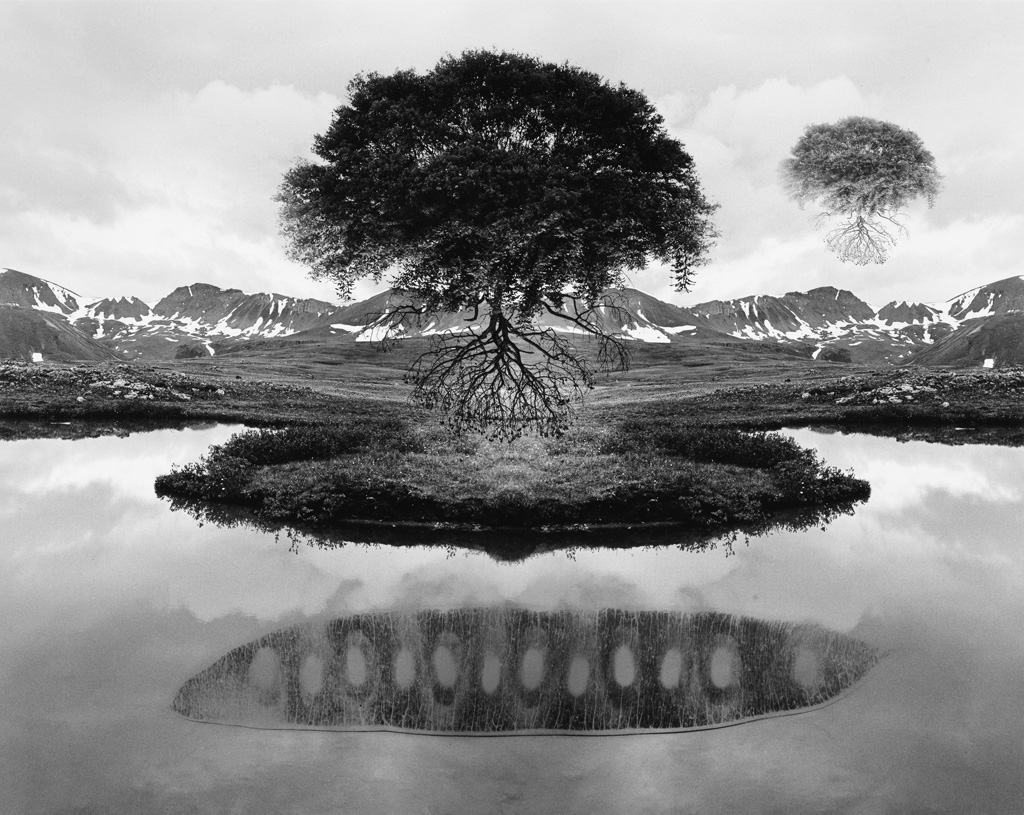 Jerry Uelsmann | Untitled (floating trees and pea pod) | MutualArt