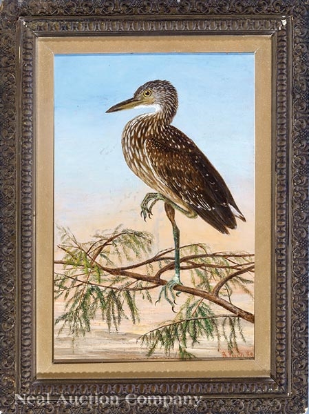 Achille Perelli | Night Heron | MutualArt