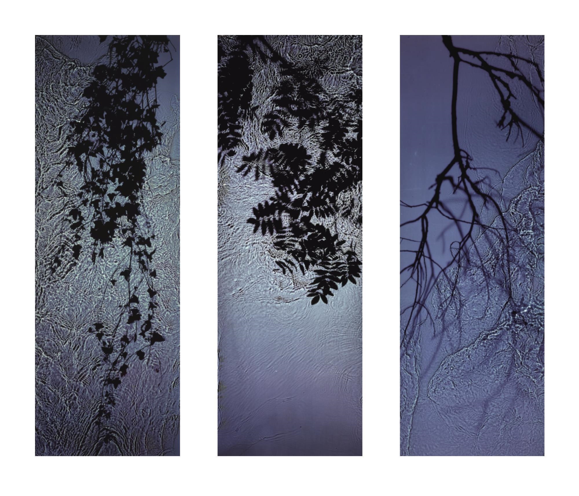 Susan Derges | Triptych: Untitled | MutualArt