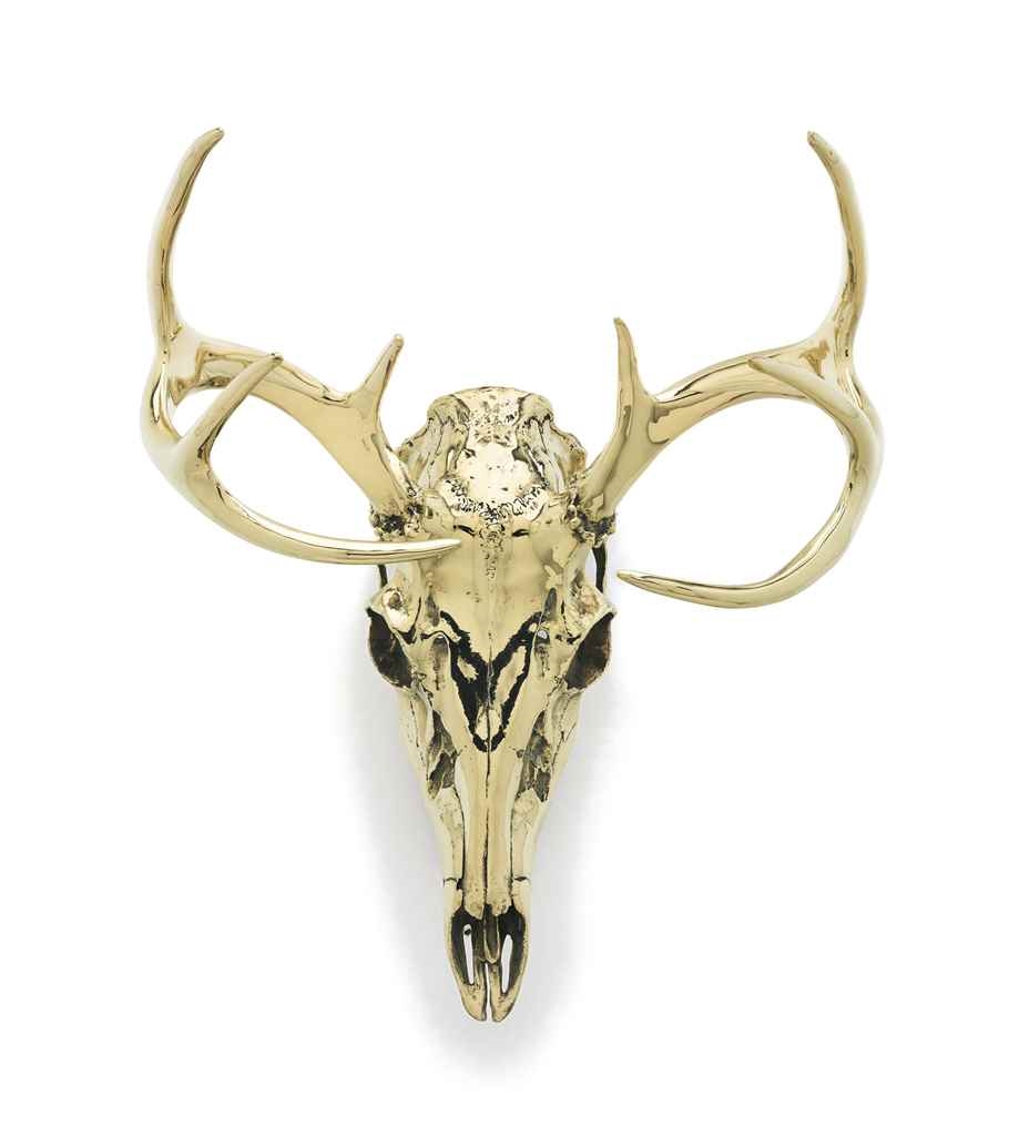 Mule Deer Skull