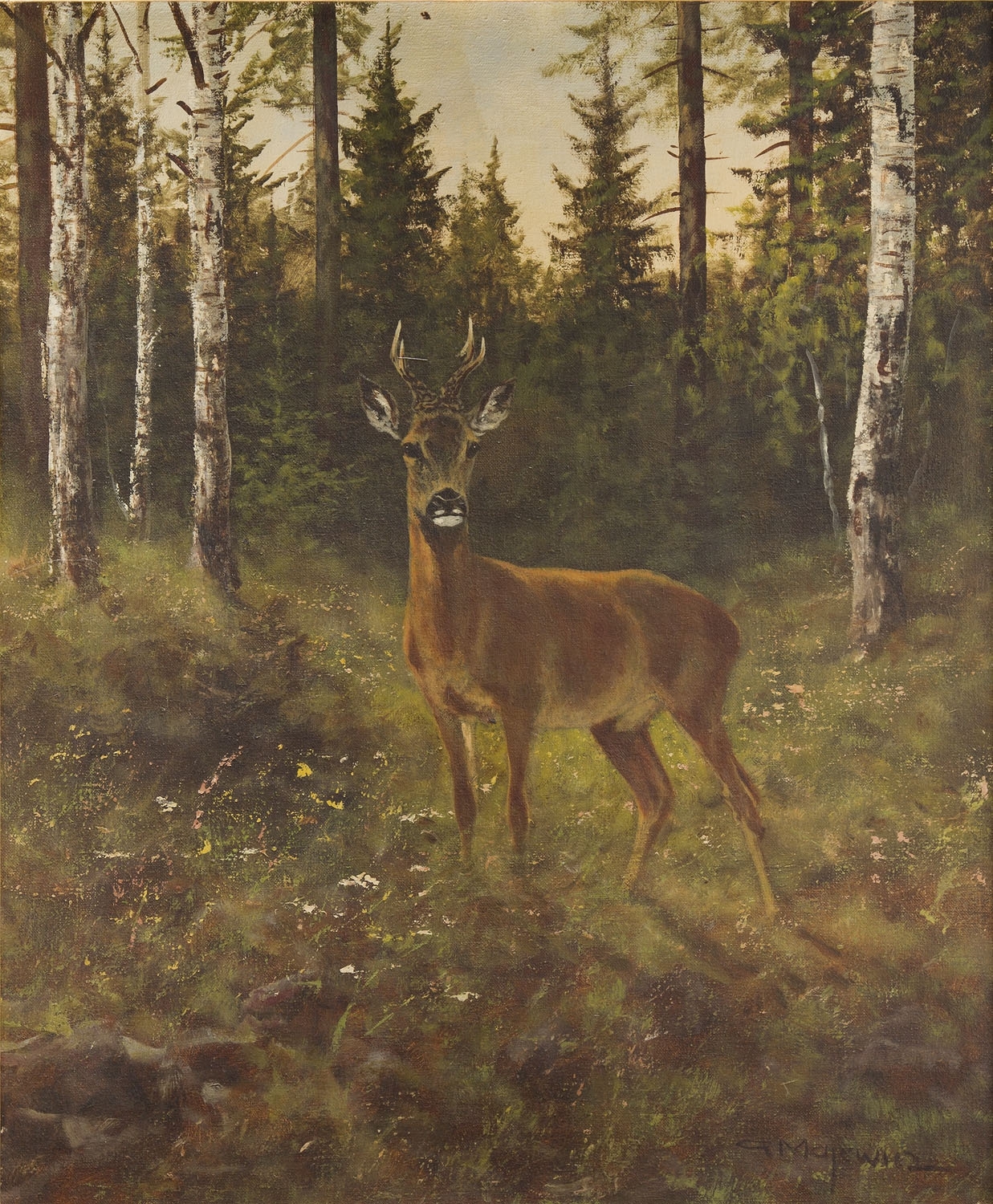 George Majewicz | Sarna w lesie | MutualArt