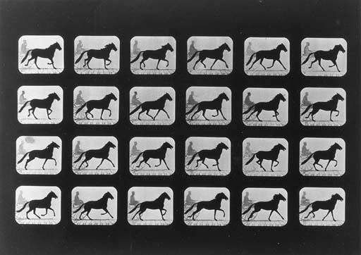 Eadweard Muybridge | Locomotion Study of Horse and Buggy (Circa 1881 ...