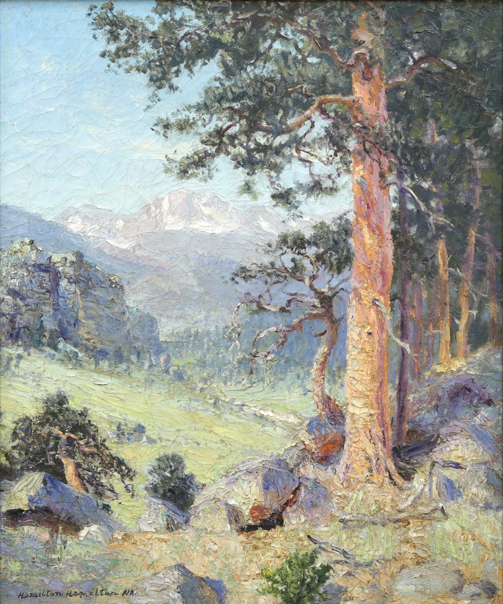 Hamilton Hamilton | View of the Rockies | MutualArt