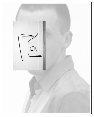 Davide Stucchi | Artist Overview | MutualArt