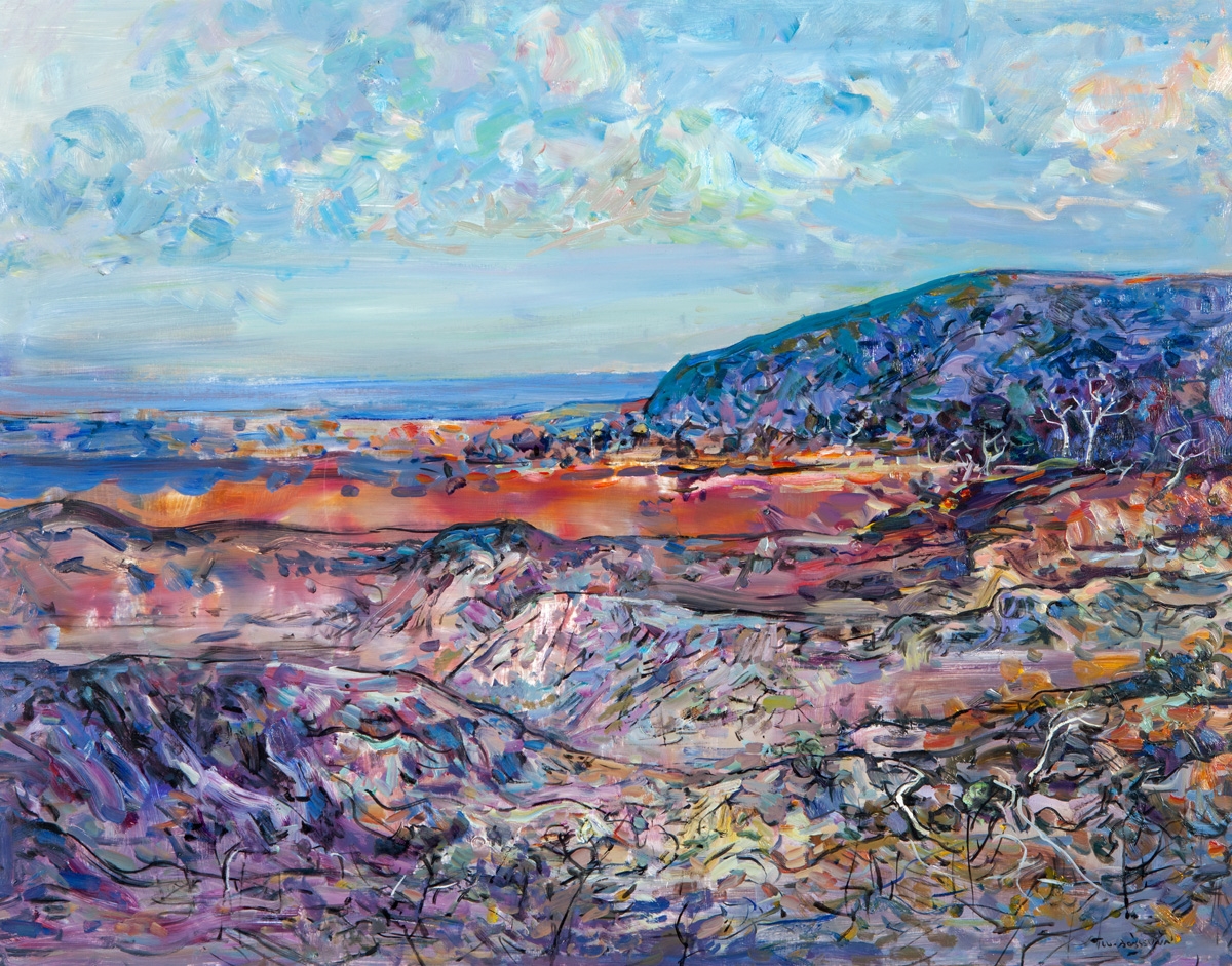 William Boissevain | Outback Visit | MutualArt