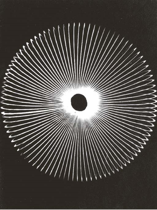Man Ray | Rayograph (1959) | MutualArt