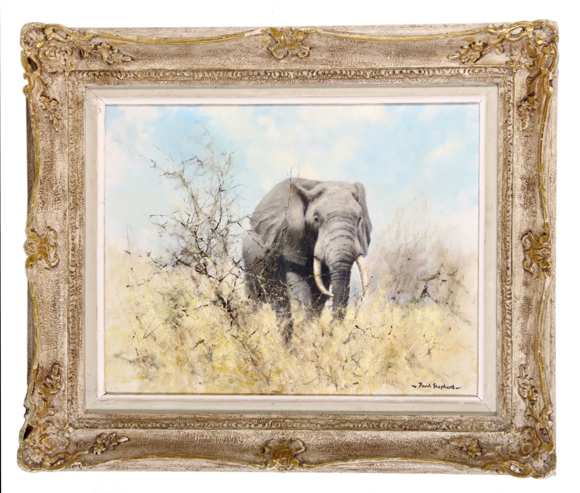 David Shepherd | Elephant | MutualArt