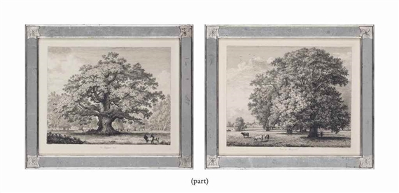 Jacob George Strutt | Nine etchings of British trees from Sylva ...