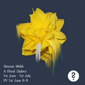 Simone Webb | Artist Overview | MutualArt