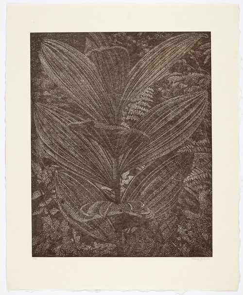 Franz Gertsch | Gelber Enzian (Sepia) (2003) | MutualArt