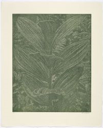 Franz Gertsch - Cima del mar, 1990, Colour woodcut...