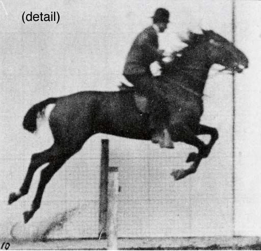 Eadweard Muybridge | Motion Study | MutualArt