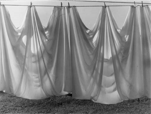Ralph Steiner | Clothesline (1965) | MutualArt