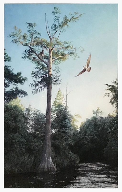 Charles Rowe | Photorealist Florida Backwater with Cypress and Osprey ...