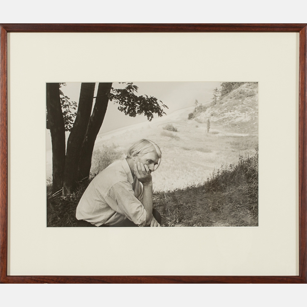 Edward Steichen | Carl Sandburg (Montage) (1936) | MutualArt