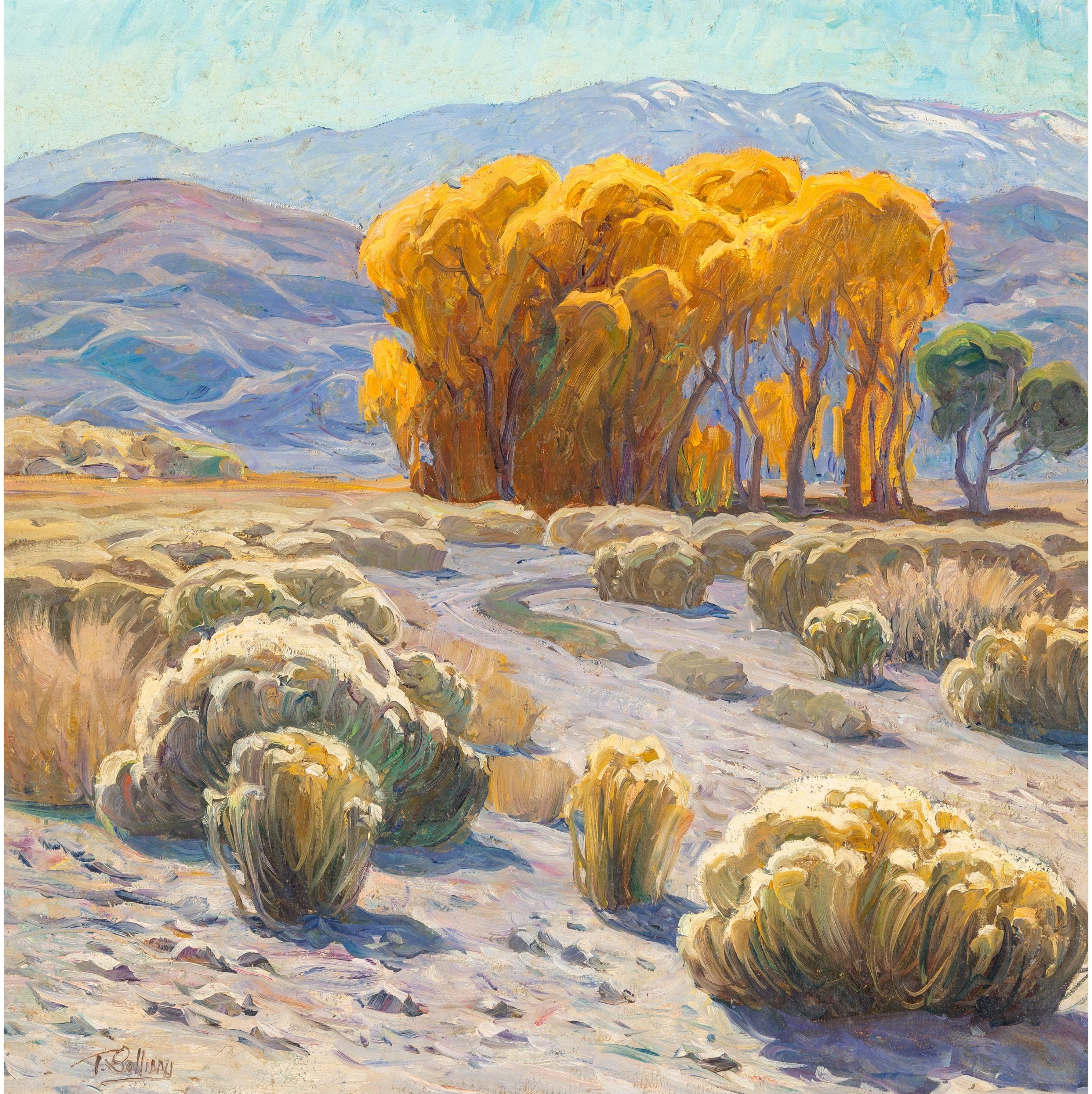 Tim Solliday | Desert Landscape | MutualArt