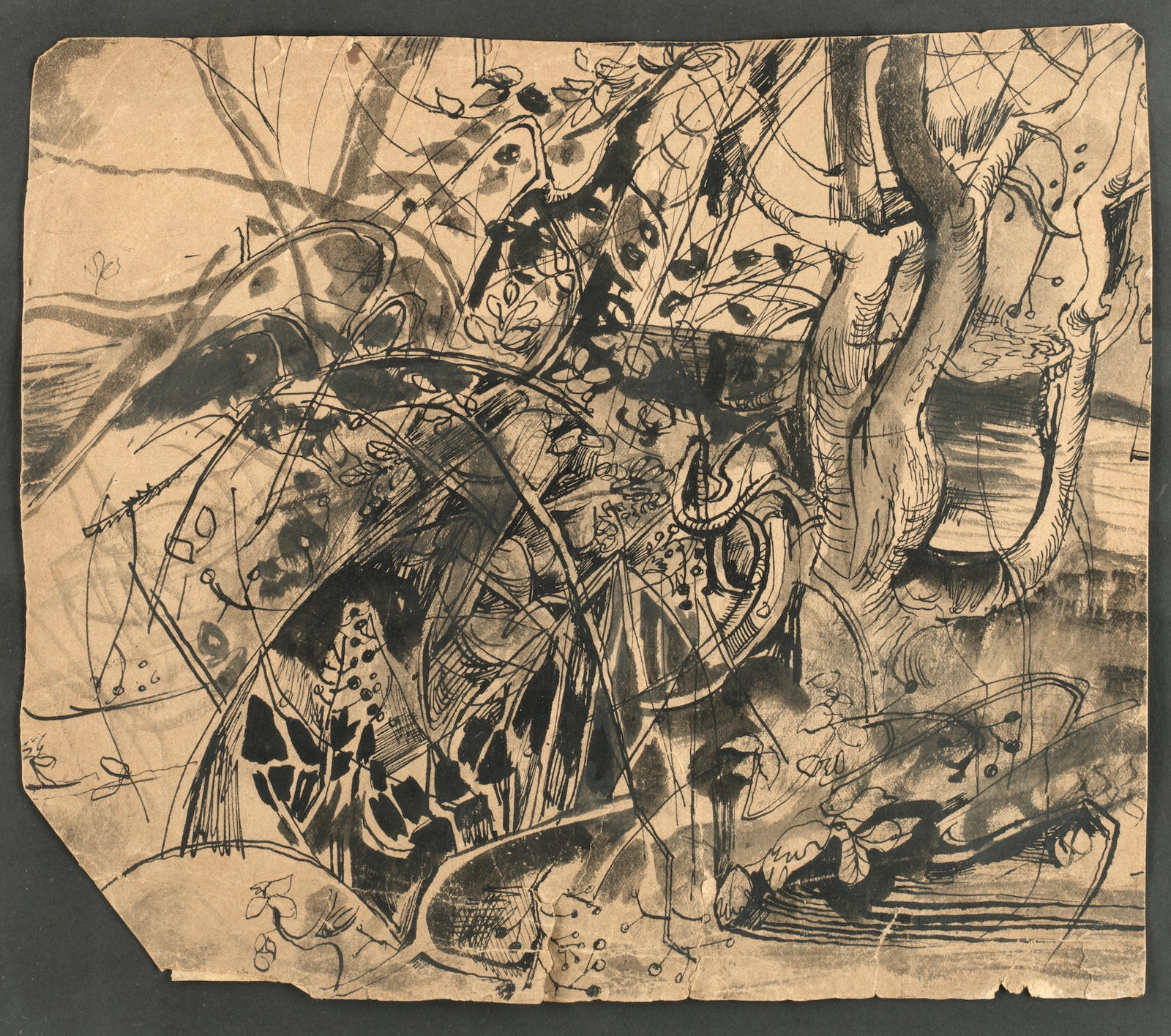 John Minton | A Tangled Undergrowth | MutualArt