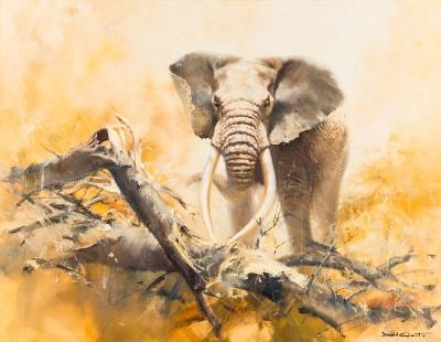 Donald Grant | Bull Elephant | MutualArt