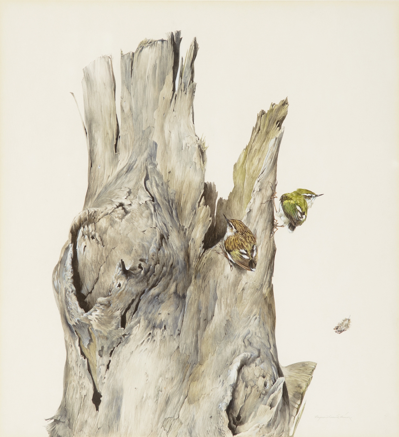 Raymond Harris Ching | The Rifleman Bird | MutualArt