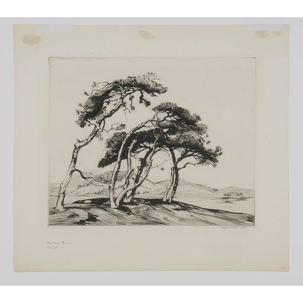Alfred Heber Hutty | Northern Pines (1937) | MutualArt