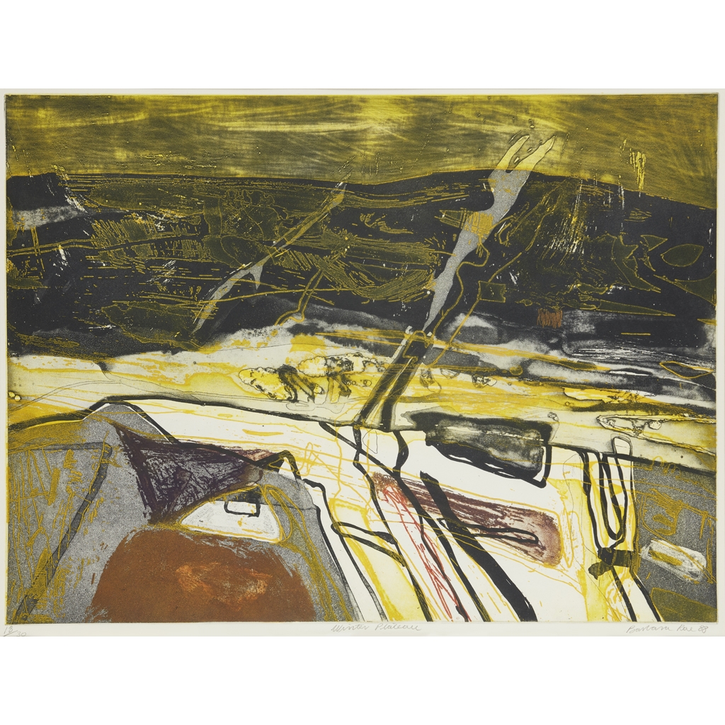 Barbara Rae | UNTITLED (1984) | MutualArt