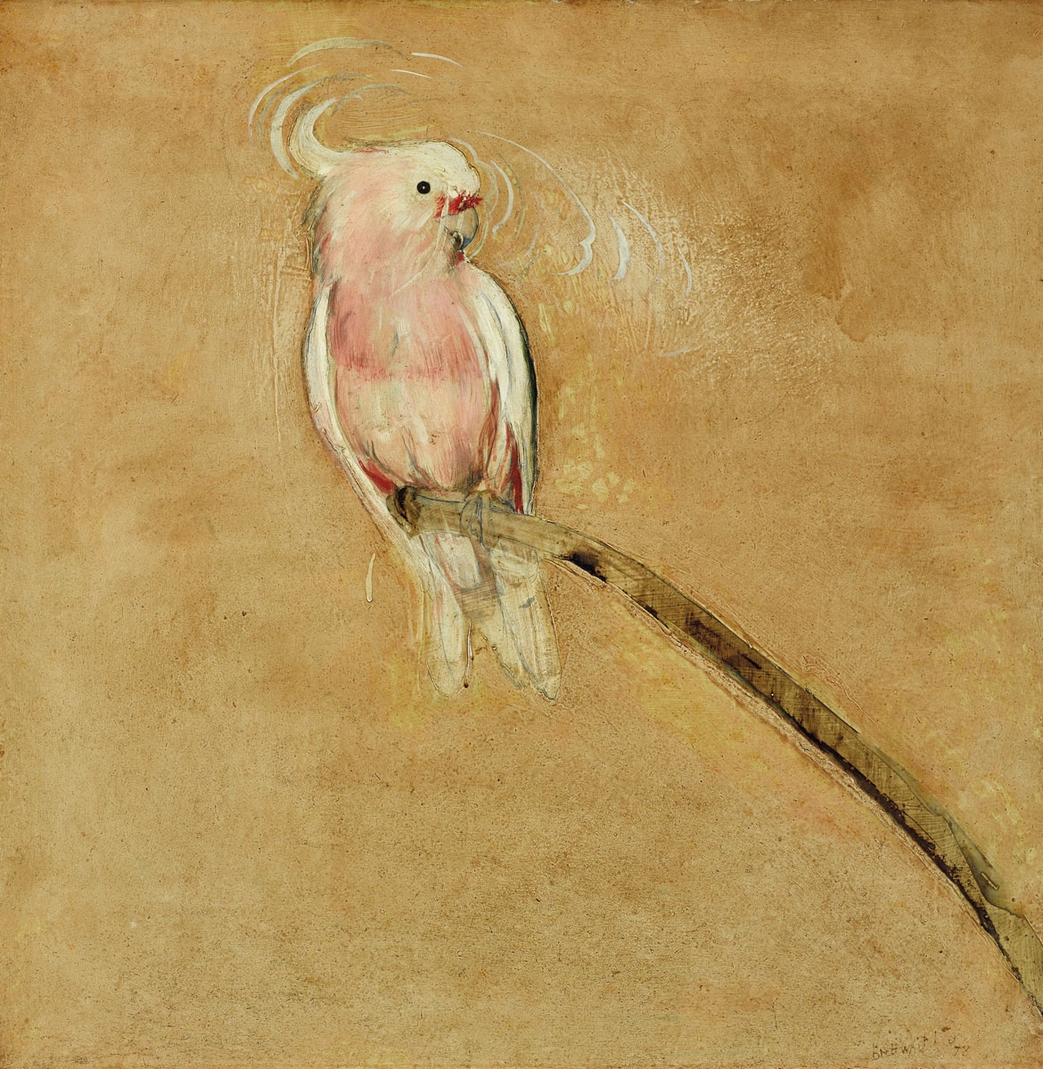 Brett Whiteley | Major Mitchell (1978) | MutualArt