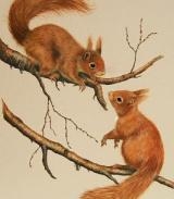 Jan Ferguson | 9 Artworks at Auction | MutualArt