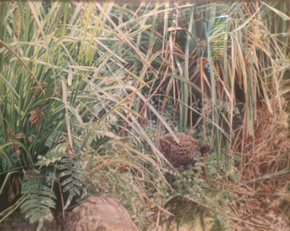 James Luck | 4 Artworks at Auction | MutualArt