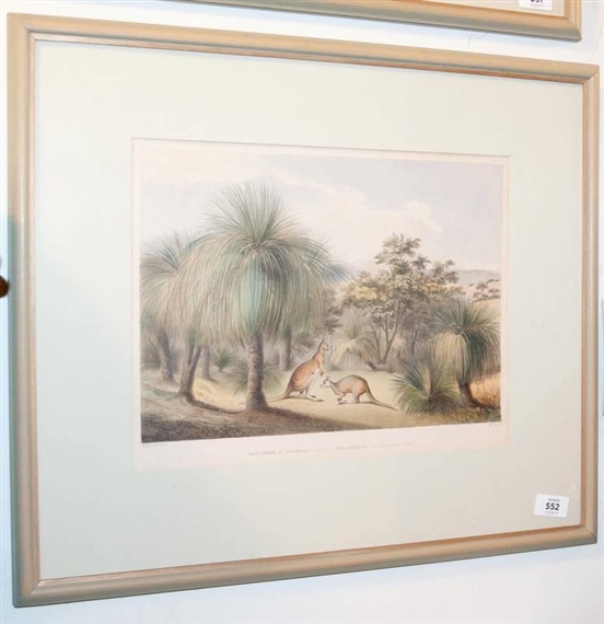 George French Angas | Grass Trees at Yankalilla with the Red Kangaroo ...