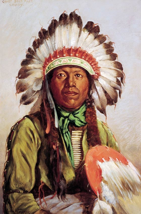 John Hauser | Chief Bald Eagle, Sioux | MutualArt