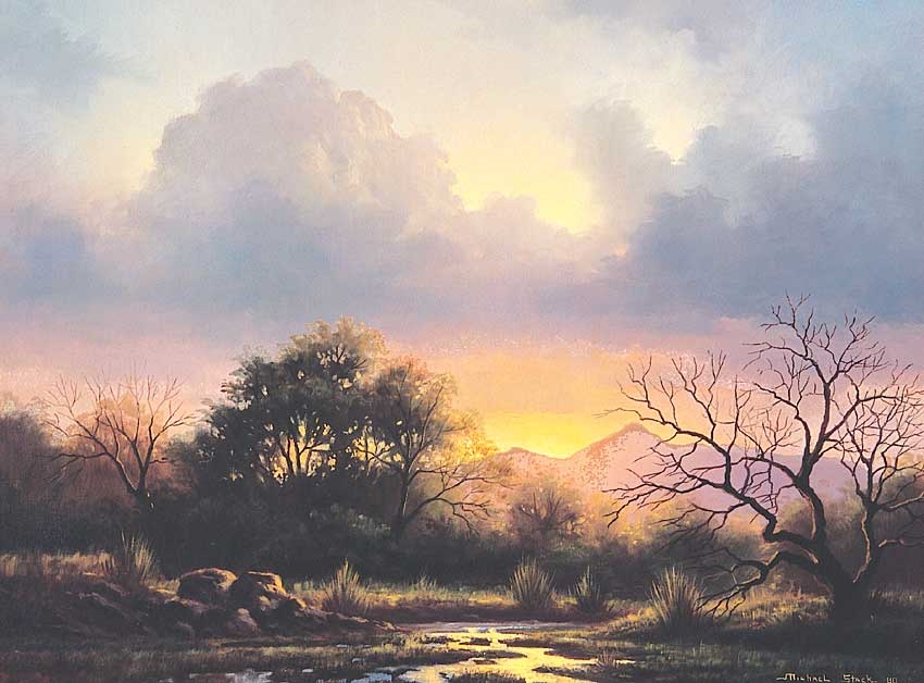 Michael Stack | Desert Rain | MutualArt